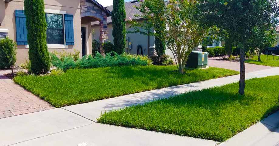 Turf Care – Complete Pest Management